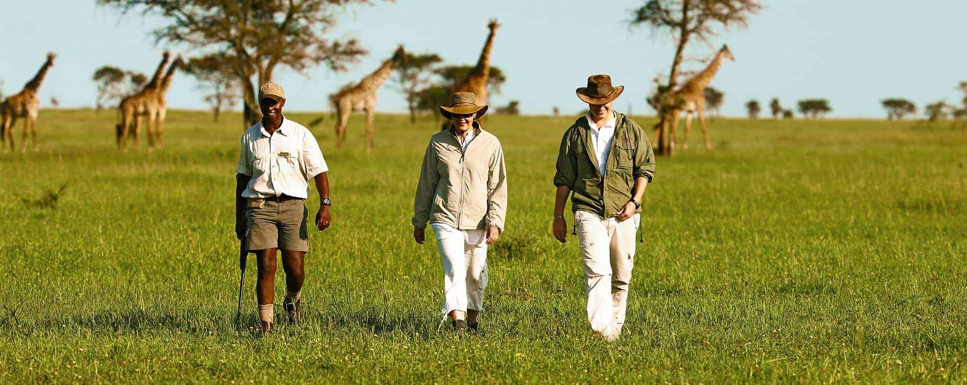 Real Life Adventure Travel – Climbing Adventure & Wildlife Safaris