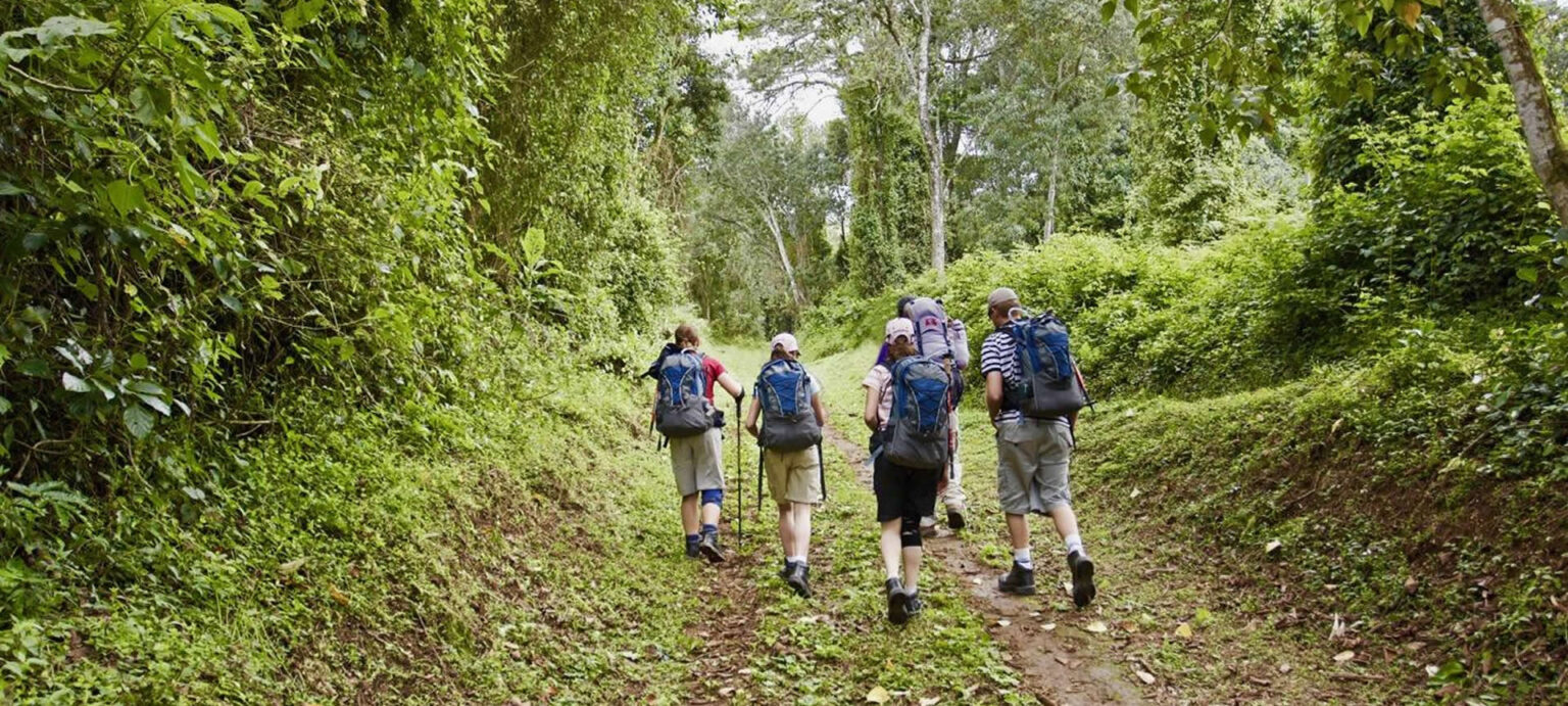Real Life Adventure Travel – Climbing Adventure & Wildlife Safaris