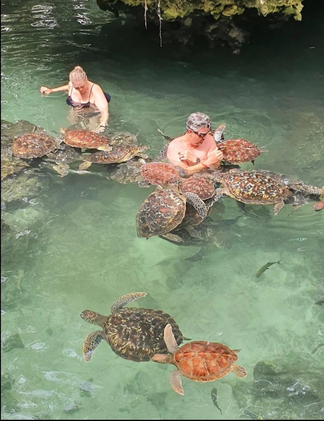 Real Life Adventure Travel – Climbing Adventure & Wildlife Safaris