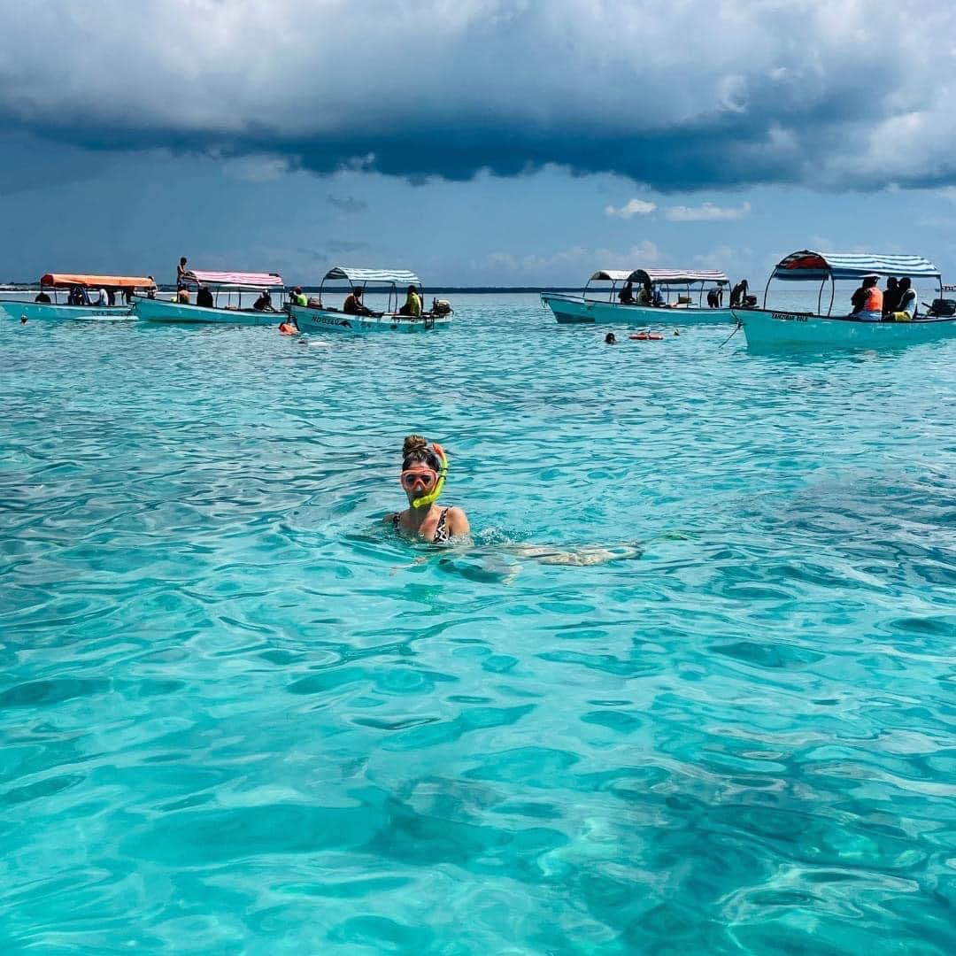 Real Life Adventure Travel – Climbing Adventure & Wildlife Safaris