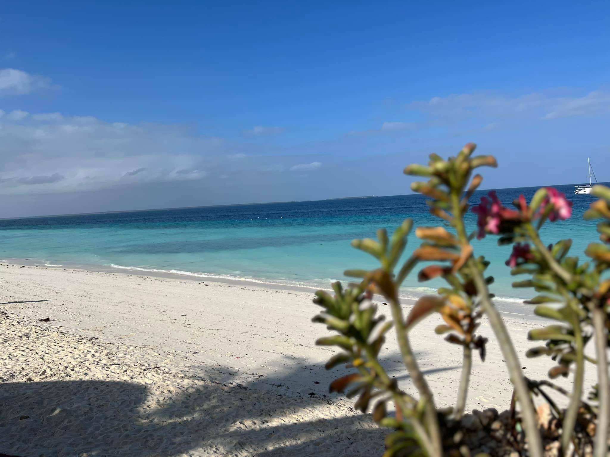 Real Life Adventure Travel – Climbing Adventure & Wildlife Safaris